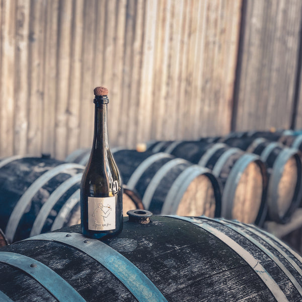 Discover Grower Champagne in six wines - Westgarth Wines