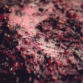 Grape processing: destemming, crushing, and pressing - Westgarth Wines